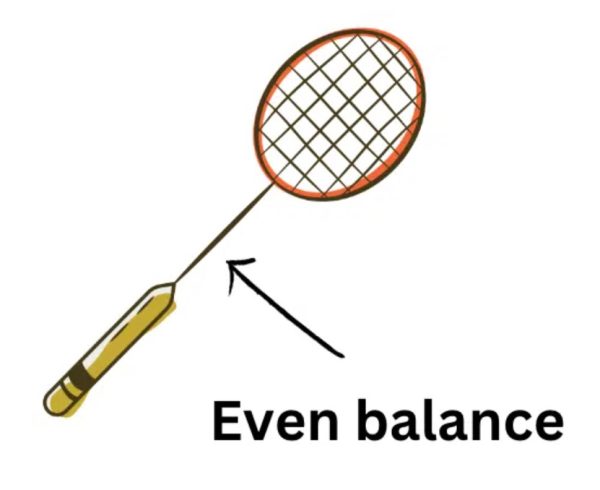 Racket Selection - Premium Badminton, Tennis, and Squash Playing Guides ...